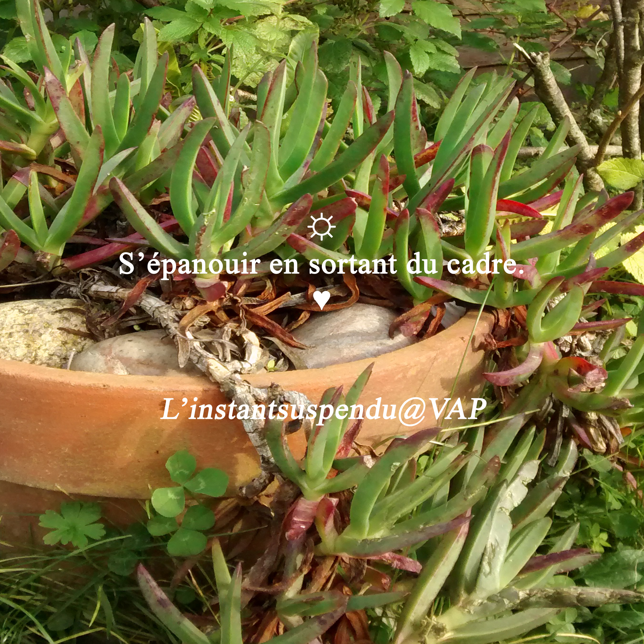 L’instant suspendu