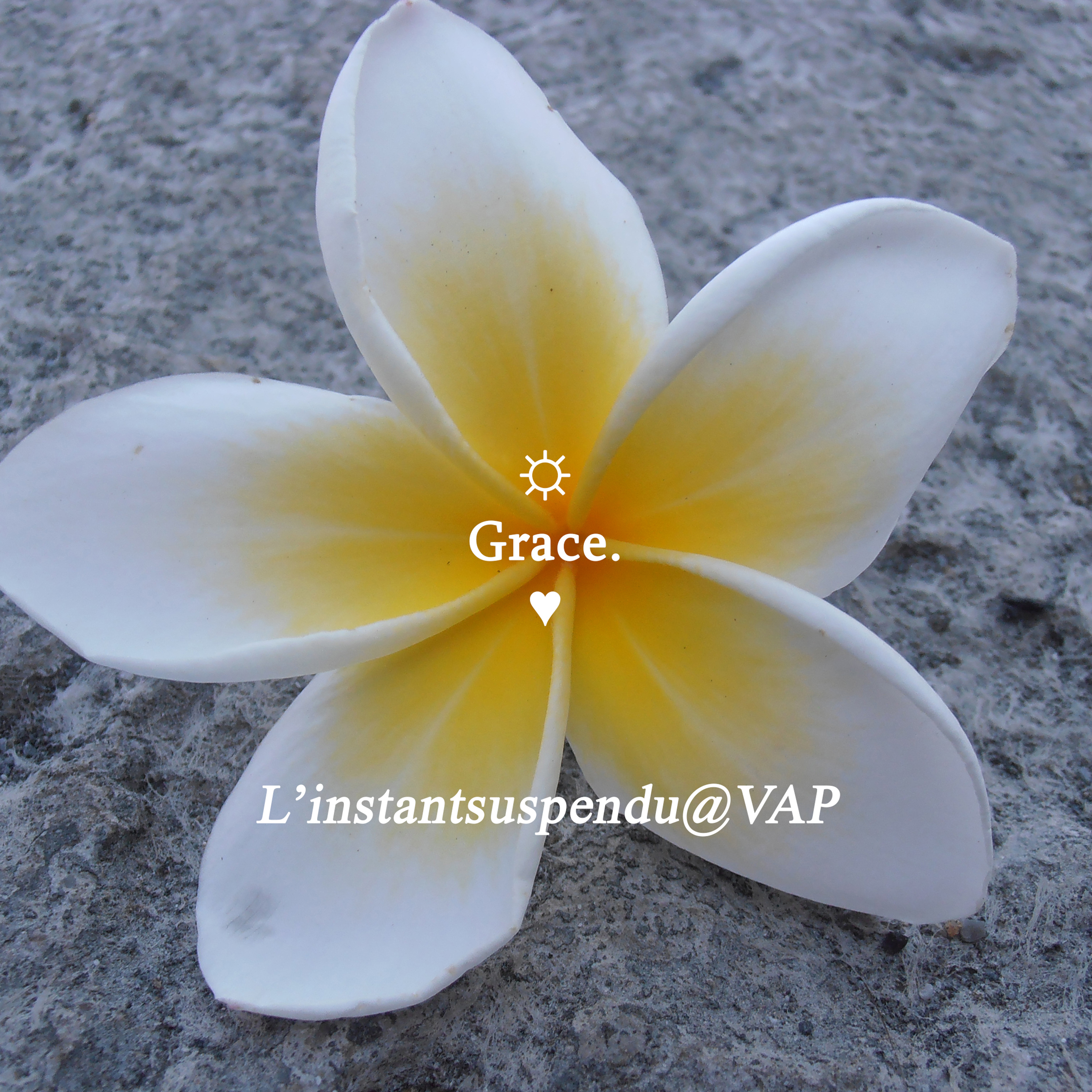 L’instant suspendu