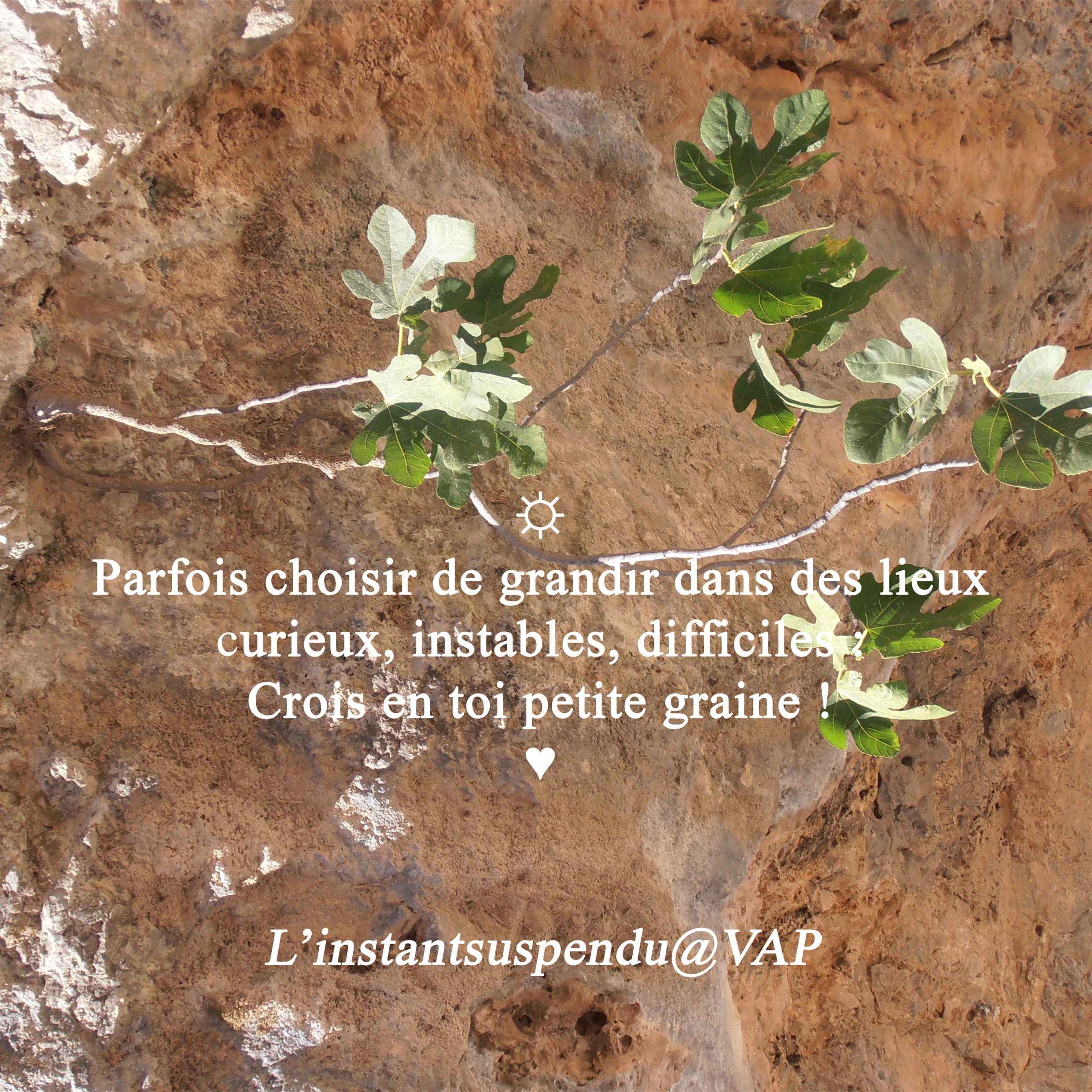 L’instant suspendu